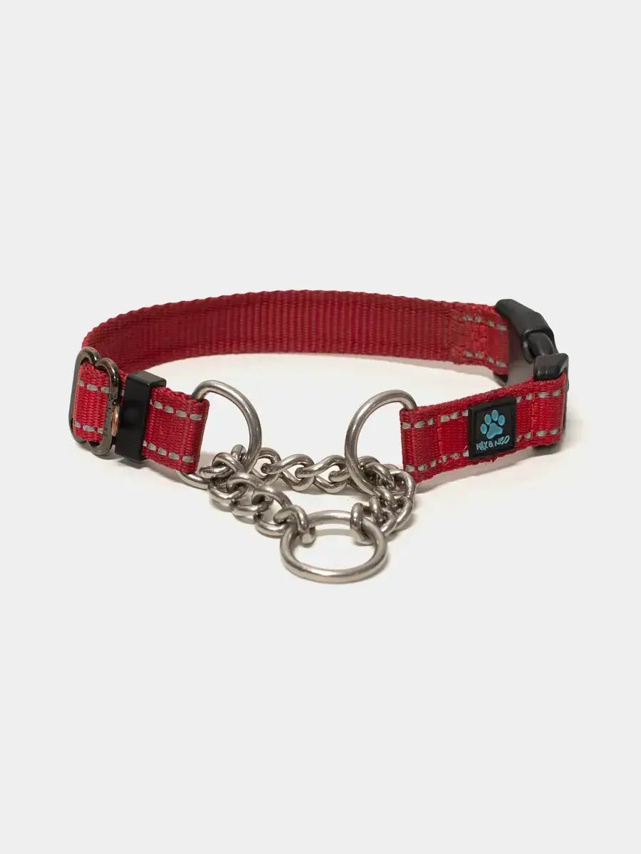 Max and Neo Dog Gear Nylon Reflective Martingale Dog Collar with Chain ...